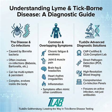 Tlabdx Gaithersburg Best Lab For Lyme And Tick Borne Disease