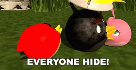 Everyone Hide Take Cover  Everyonehide Takecover Run Discover