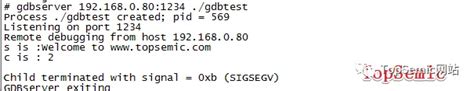 嵌入式linux系列第14篇：使用gdb和gdbserver构建在线调试环境 阿里云开发者社区