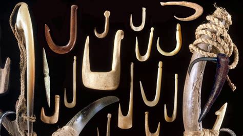 5 Հետաքրքիր փաստ ձկների մասին Youtube