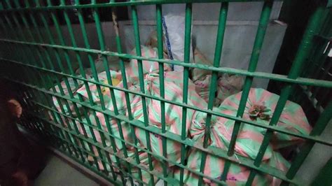 ตร ภาค 1 บุกจับ หมึก สายไหม แก๊งค้ายา เช่าบ้านหรูซุก ยาบ้า ยึด 10 ล้านเม็ด คมชัดลึก