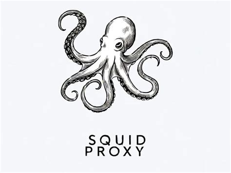 A Custom High Performance Proxy Server Upwork