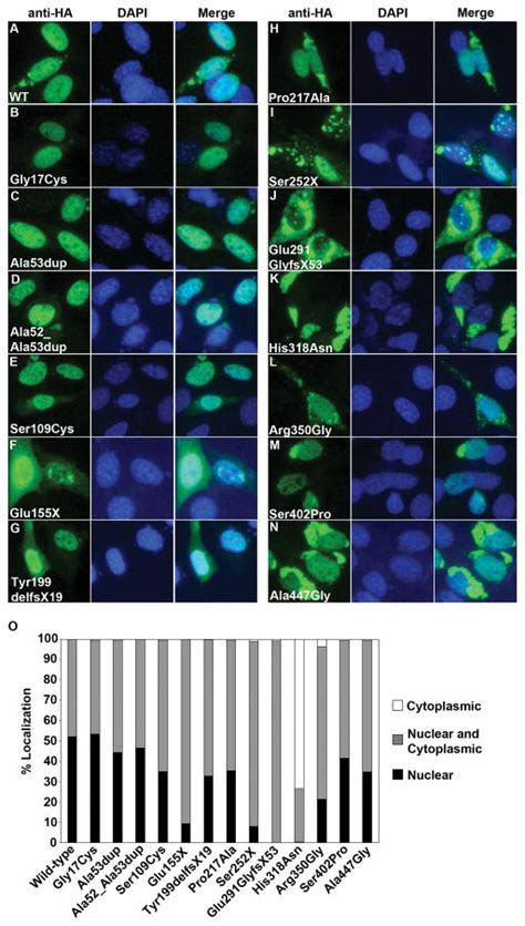 genetic and functional analyses of zic3 variants in congenital heart