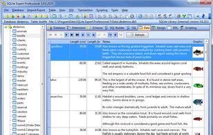 Great DB Browser For SQLite Alternatives Top Database Management Tools In AlternativeTo