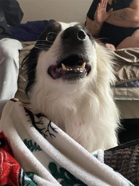 Lauren E Posted On Linkedin