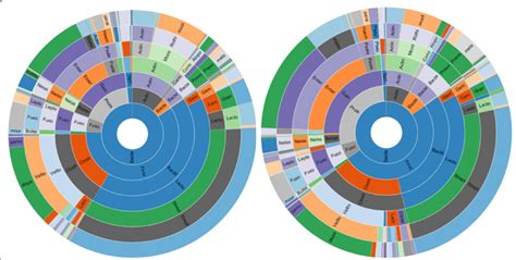 Sunburst Representation Of The Overall Distribution Of The Small