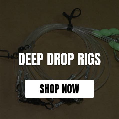Deep Drop Rigs