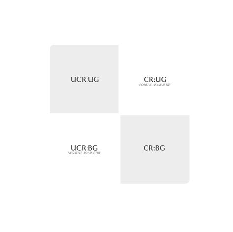 Asymmetry Identification Matrix™ — Christopher Sanchez And Co