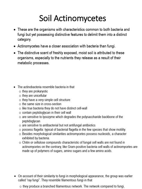 Soil Actinomycetes Pdf Bacteria Fungus