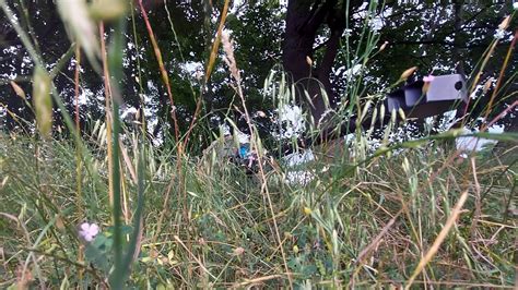 Напредна обука за дужност снајперисте у Војсци Србије Министарство одбране Републике Србије