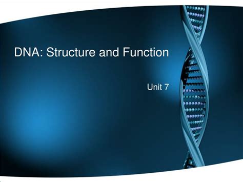 PPT DNA Structure And Function PowerPoint Presentation Free Download ID