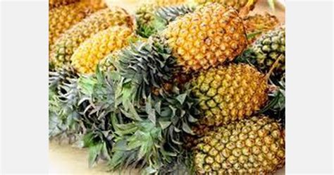 Malaysian Md2 Pineapples Shipped To Osaka