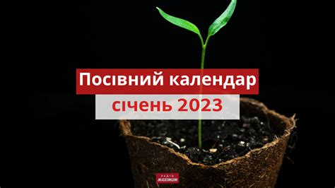 Місячний посівний календар на січень 2023 коли і що садити Радіо Maximum