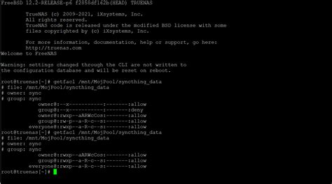 Syncthing Failed To Create Folder Root Directory Mkdir Test Permission Denied TrueNAS