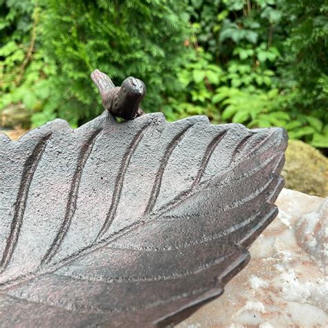 LitinovÉ PÍtko Pto PtÁČky PtaČÍ KrmÍtko List Aukro