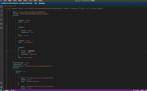 Wsl2最佳实践，淘汰难用的xshell和finalshellfinalshell Wsl Csdn博客