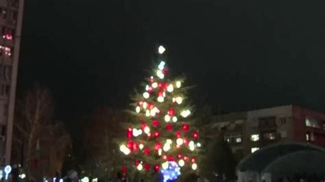 ОПИТ ЗА РЕКОРД Светна най високата жива елха в България Nova