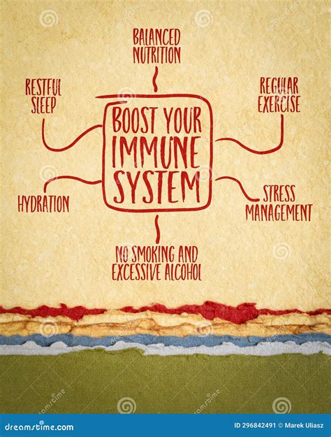 Boost Your Immune System Mind Map Sketch Healthy Habits And
