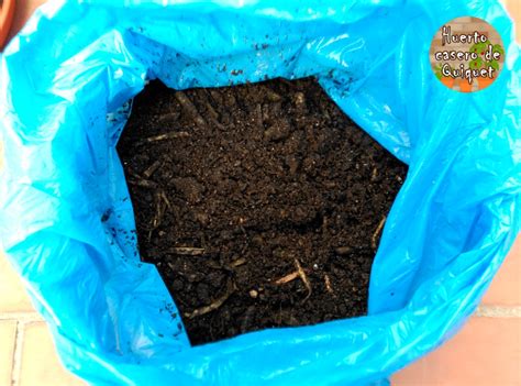 Huerto Casero De Quiquet Como Hacer Compost En Casa En Una Maceta Grande