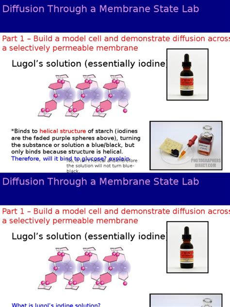 Diffusion Lab Osmosis Cell Membrane