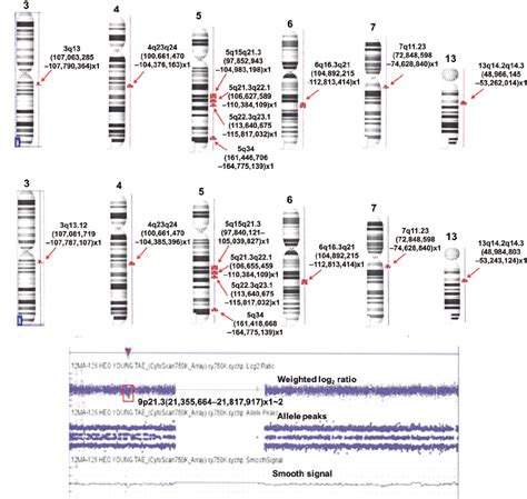 High Resolution Single Nucleotide Polymorphism Array Hr Snp A Download Scientific Diagram
