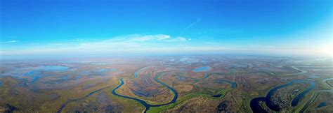 Argentina Duck Hunt Parana River Delta Hunting Best Hunts Ramsey