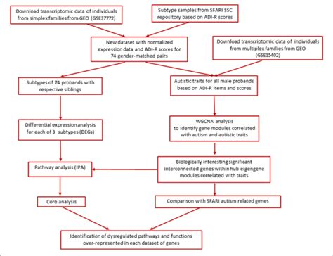 Overall Analytical Workflow Download Scientific Diagram