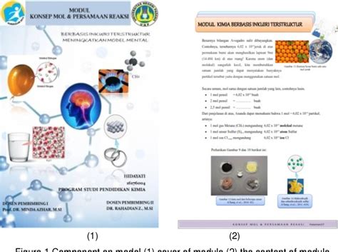 Figure 1 From The Development Of Structured Inquiry With Three Level Representation Module