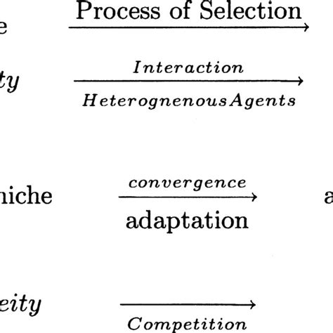 A Scheme Of Selection And Variations Download Scientific Diagram