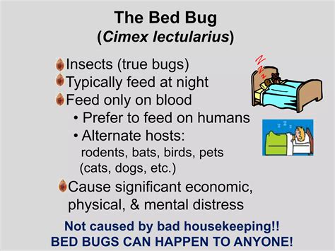 Bed Bug Biology Behavior And Research Update PPT