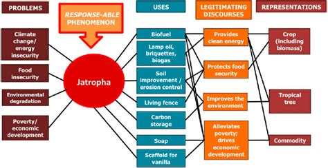 Jatrophas Discursive Web Source Authors Elaboration Download Scientific Diagram