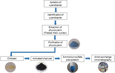 Development Of A Novel Method For The Purification Of C Phycocyanin