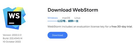 Webstorm 202223 永久激活教程 破解教程 专属激活码（亲测） Ide激活网