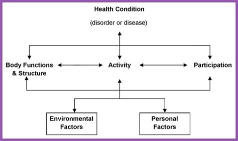 Icf Who Fic Collaborating Centre In South Africa