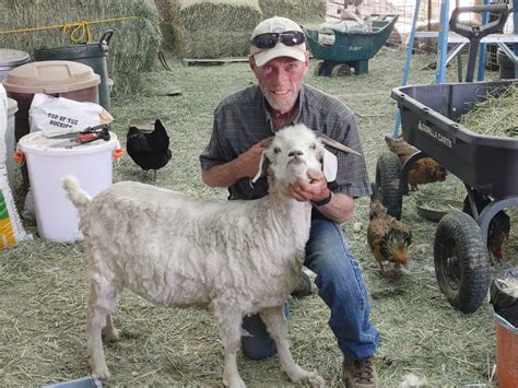 How To Care For Angora Goats