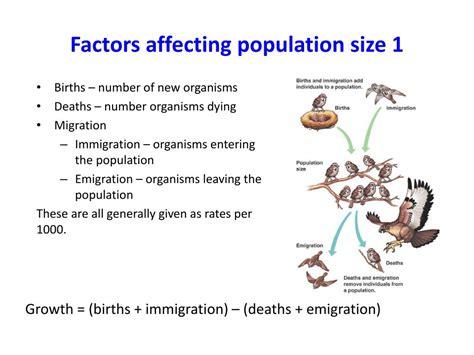 Ppt Biology 2b Ecosystems Powerpoint Presentation Free Download Id4962866