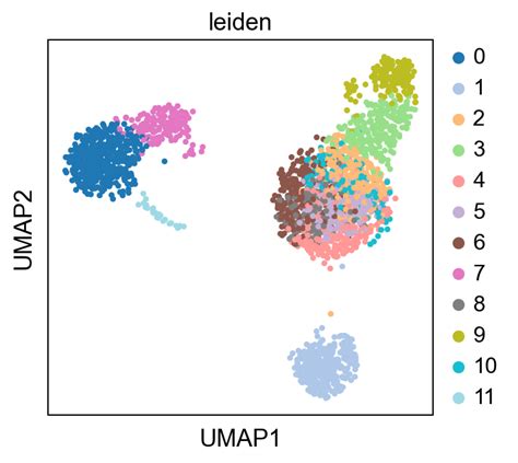 Notebook 2 Celltype Annotation And Beyond — Besca 246115gb14a31c