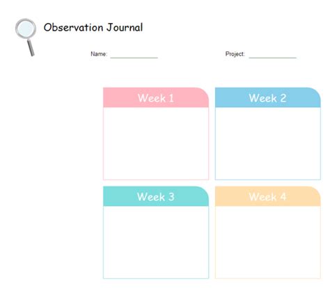 Observation Chart Examples And Templates