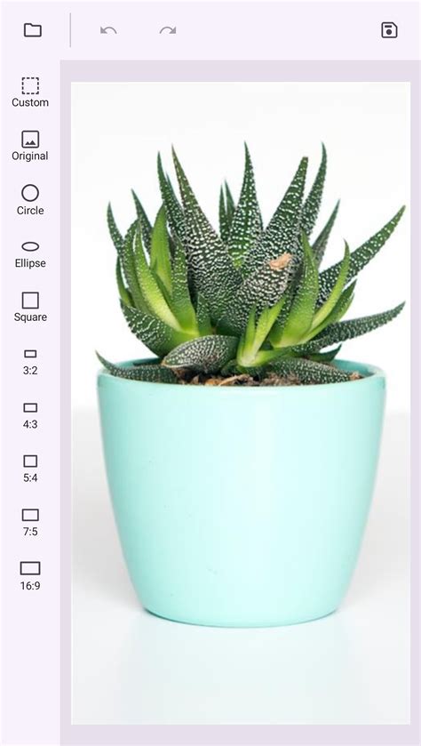 Introducing The New Net Maui Toolbar Control Syncfusion Blogs