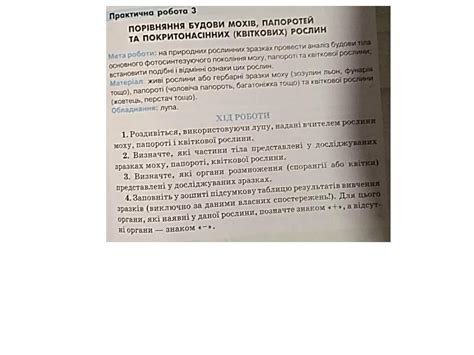 Практична робота № 3 «Порівняння будови мохів папоротей та покритонасінних квіткових рослин