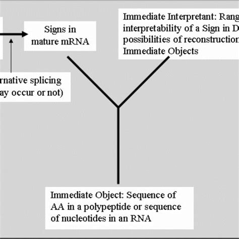 The Semiotic Relationship Download Scientific Diagram