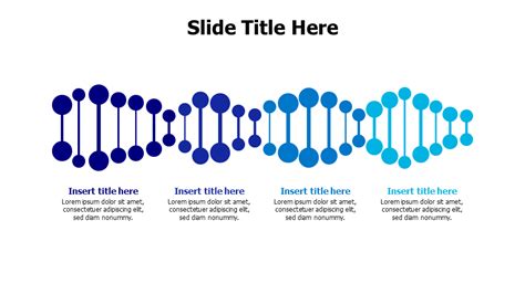 4 Points Flat DNA Infographic Inforgraphics Slides