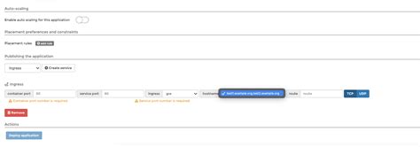Fix Bug Causing Domain Names To Not Displaying Correctly Under Publish Application Options