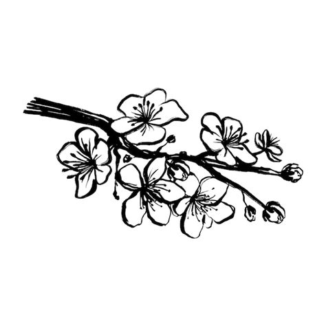 Premium Vector Cherry Blossom Ink Splatter Painting In Traditional