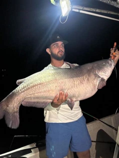 Massive Blue Catfish Breaks State Fishing Record By 4 Ounces Fishrook