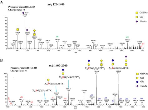 Ethcd Msms Spectrum Of Peptide X 32 Kgg 4 S 2 Apty 5 With An