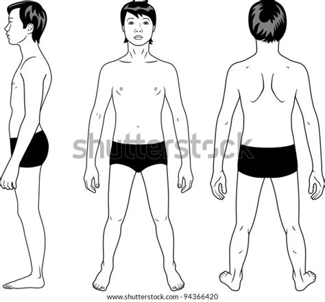 Full Length Profile Front Back View Image Vectorielle De Stock Libre