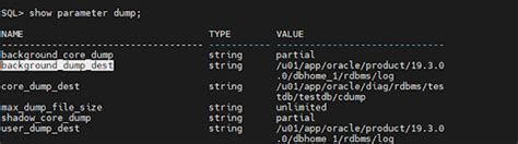 Its All About Database Oracle Database Logs