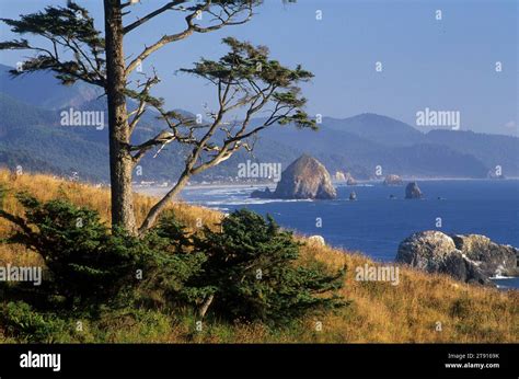 Ecola Point View Ecola State Park Lewis And Clark National Historic