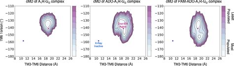 Figures And Data In Dynamic Allosteric Networks Drive Adenosine A1 Receptor Activation And G